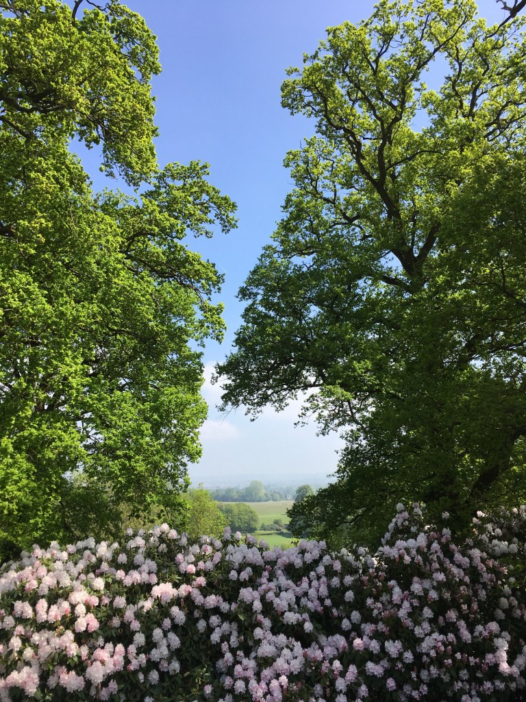 Visit to Bowood House and Gardens | Bramble Garden