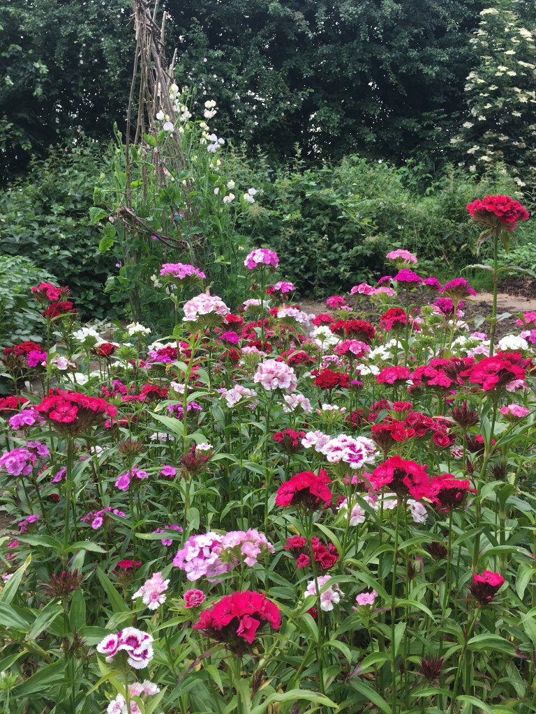 In a Vase on Monday – My Cut Flower Patch | Bramble Garden