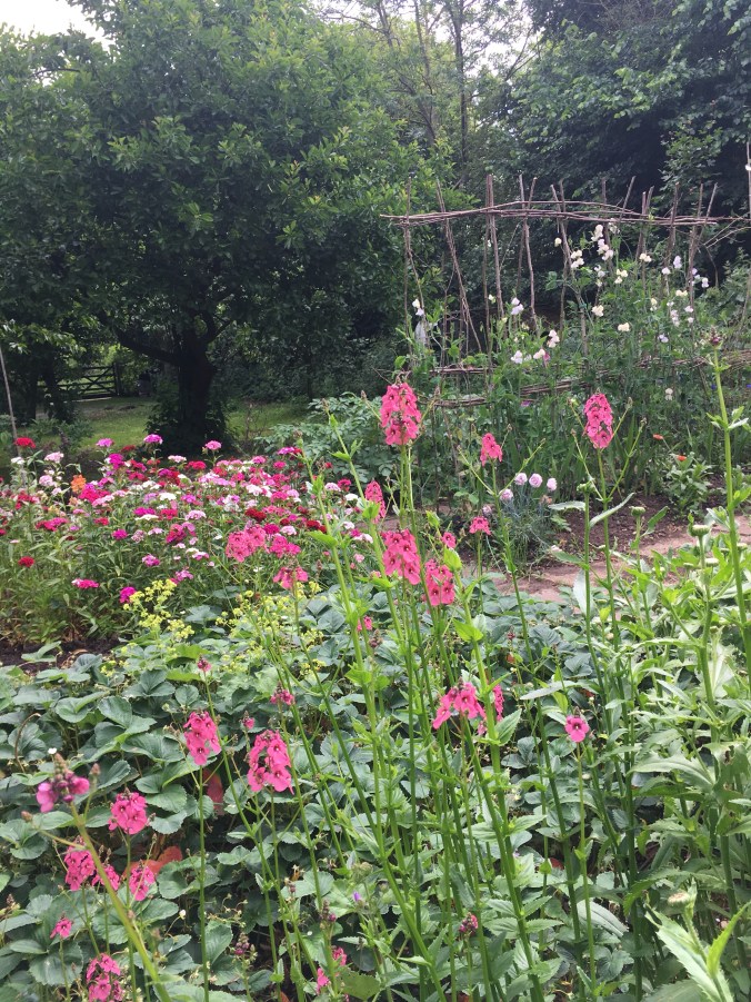 In a Vase on Monday – My Cut Flower Patch | Bramble Garden