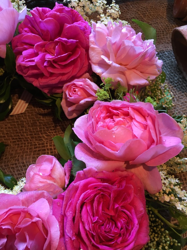 Six on Saturday – My Tribute to David Austin | Bramble Garden