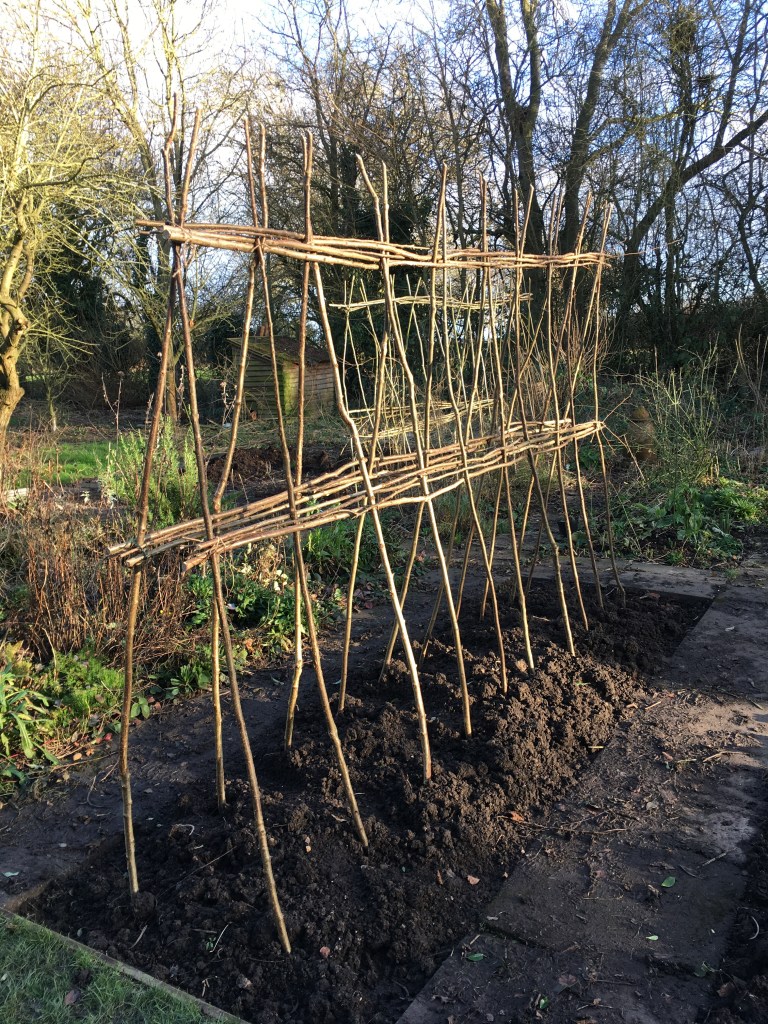 A Walk Around My Garden Saturday 1st February 2020 | Bramble Garden