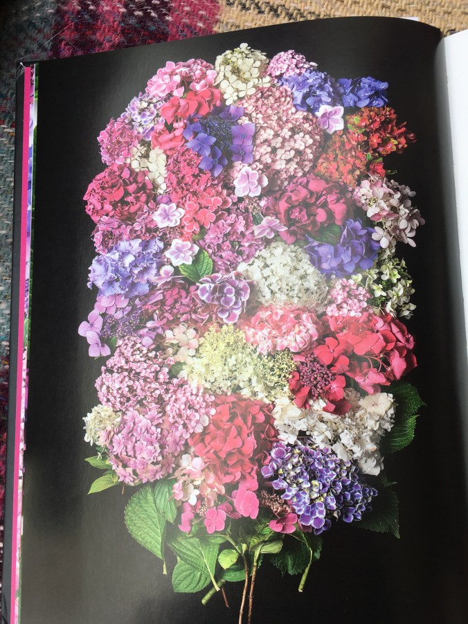 Hydrangeas – book review and 1 copy to give away | Bramble Garden