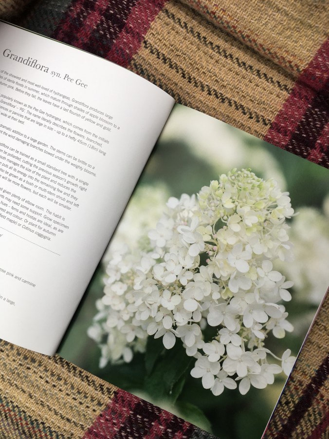 Hydrangeas Book Winner….. | Bramble Garden