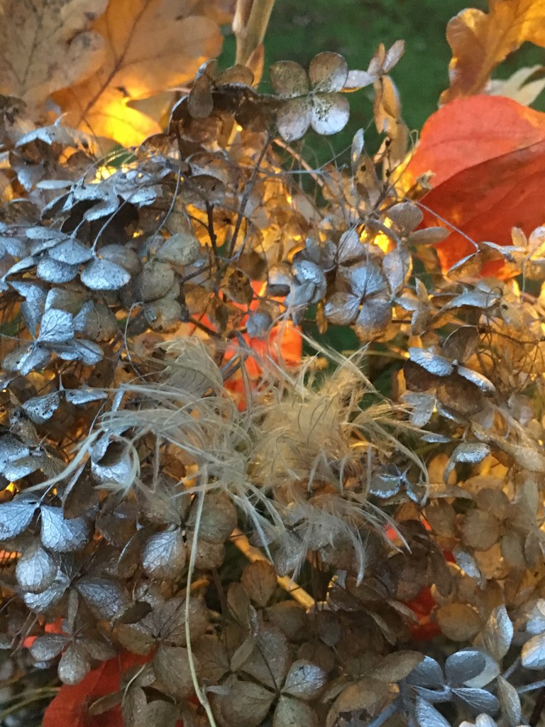 Turning Garden Twigs into Christmas Decorations | Bramble Garden