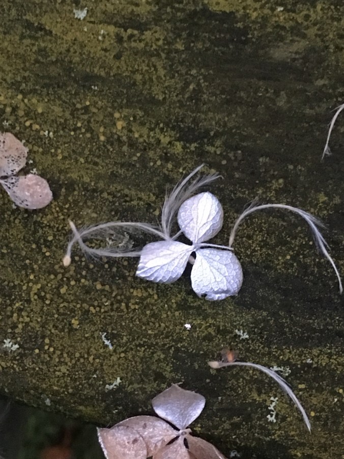 Turning Garden Twigs into Christmas Decorations | Bramble Garden