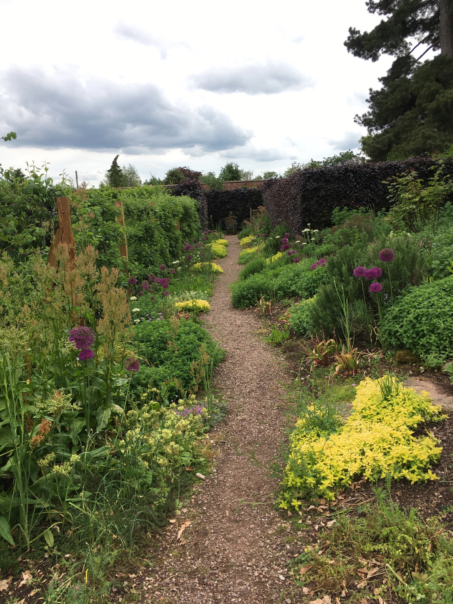 Visit to Goldstone Hall Hotel and Gardens – 7 June 2021 | Bramble Garden