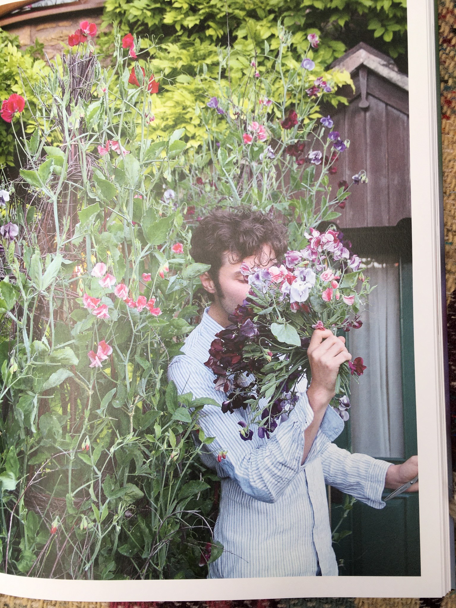 The Flower Yard. Book Review and Giveaway | Bramble Garden