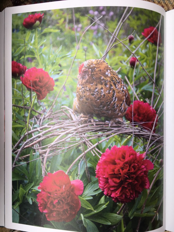 The Flower Yard. Book Review and Giveaway | Bramble Garden