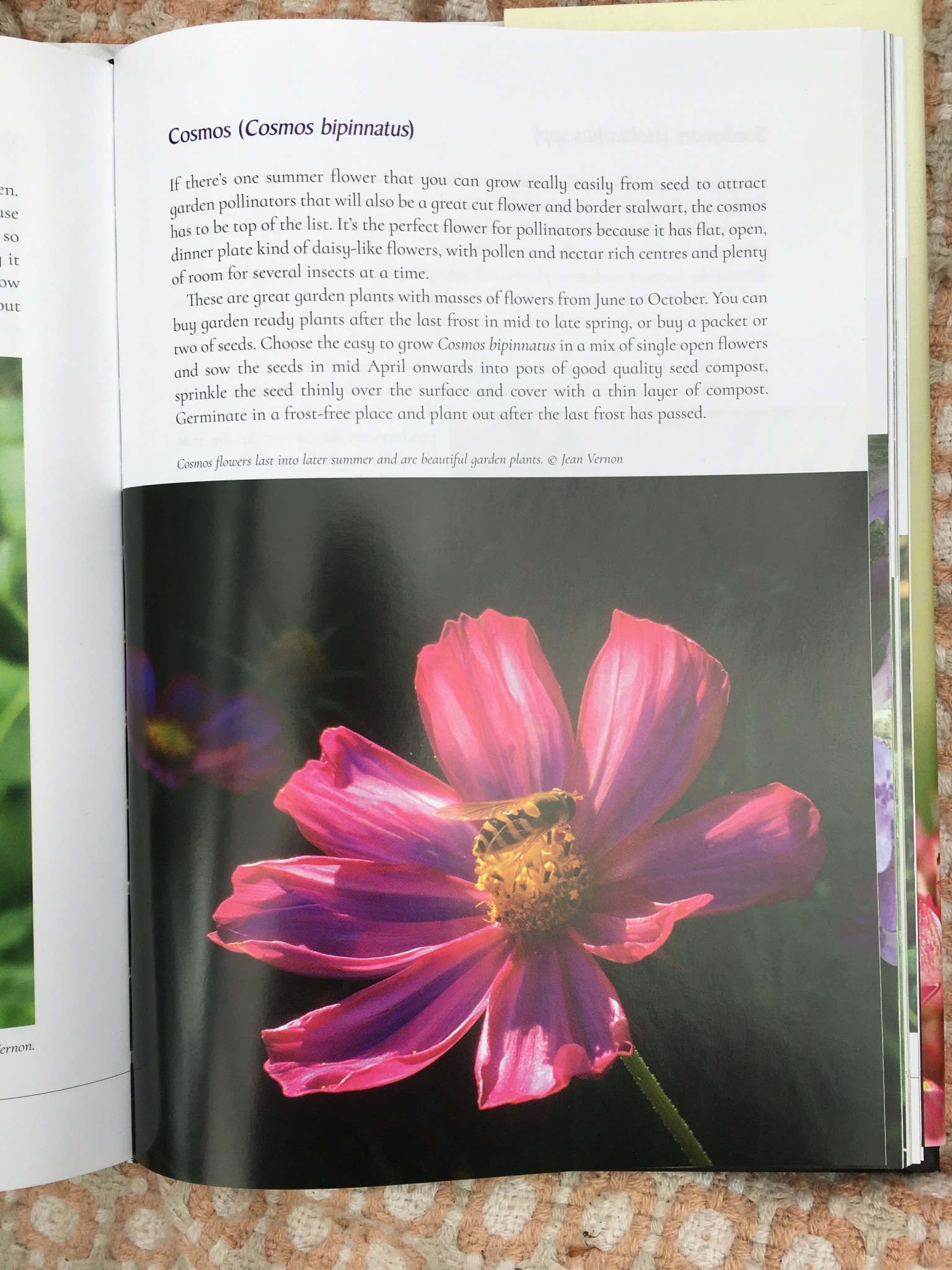 Attracting Garden Pollinators – by Jean Vernon. Prize draw winners ...