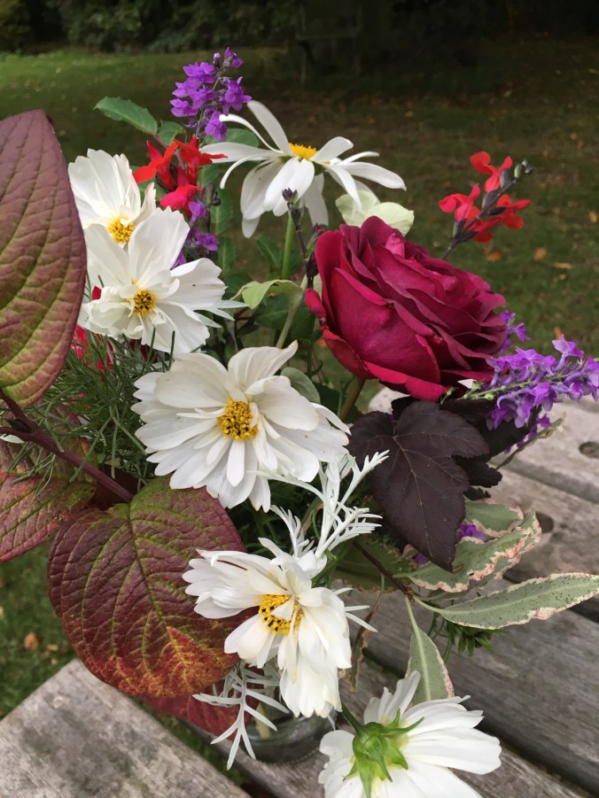 Cut Flowers from my garden mid-October | Bramble Garden