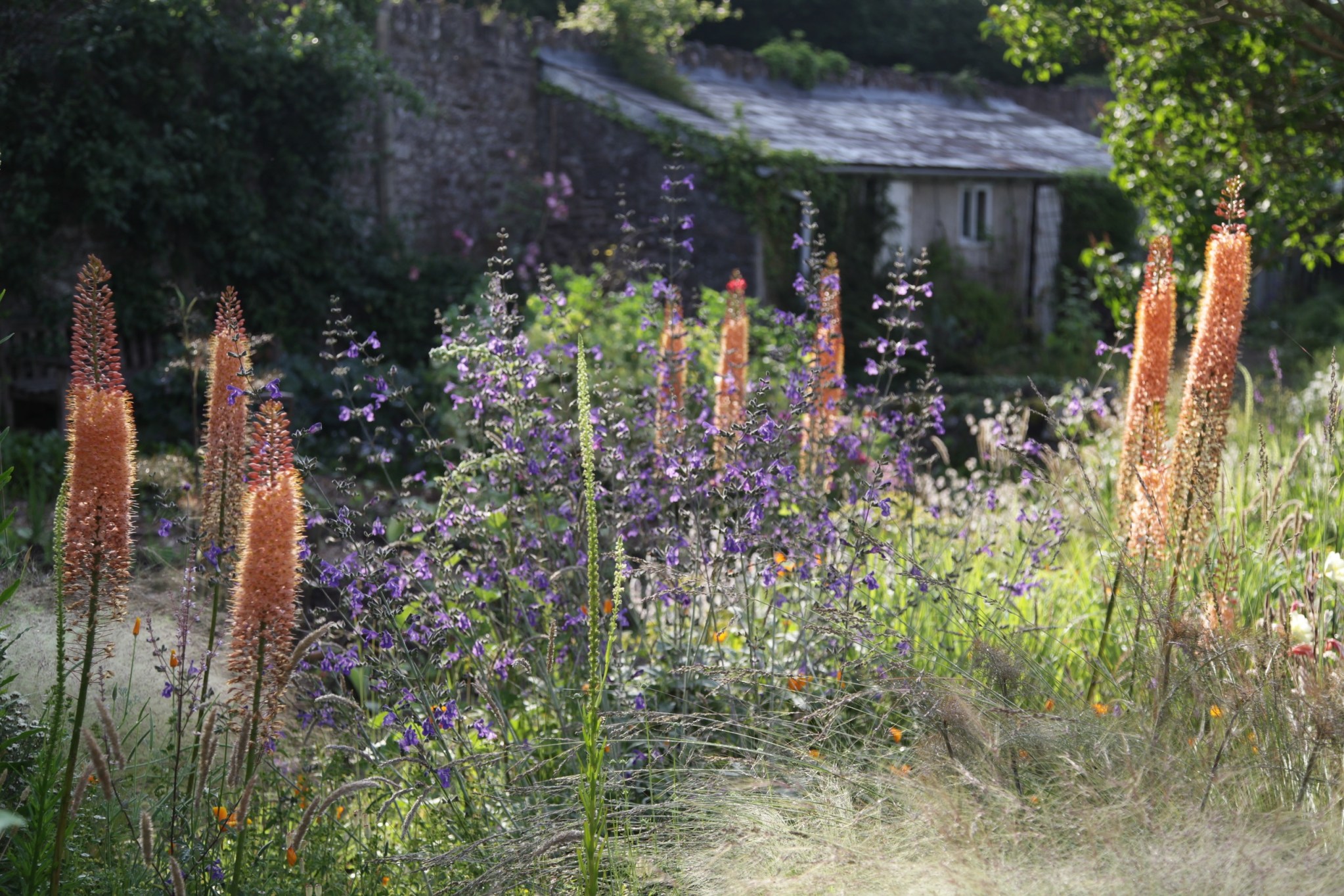 National Garden Scheme launches its 2024 campaign. | Bramble Garden
