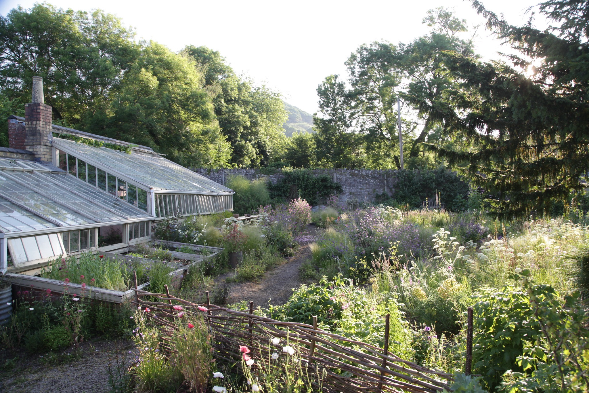 National Garden Scheme launches its 2024 campaign. | Bramble Garden