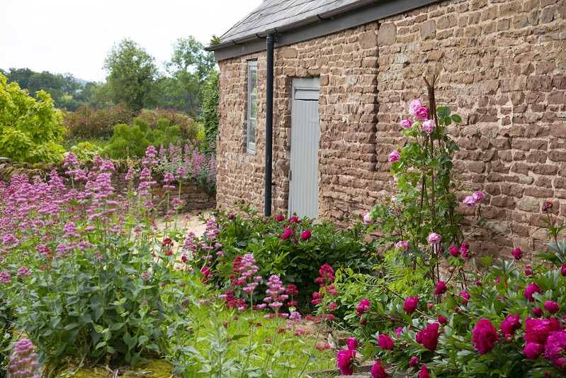 National Garden Scheme launches its 2024 campaign. | Bramble Garden