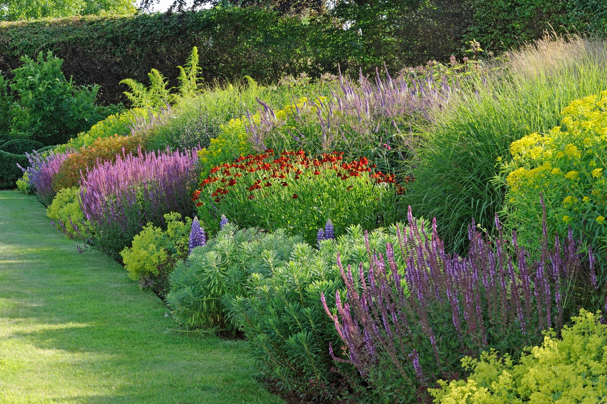 National Garden Scheme launches its 2024 campaign. | Bramble Garden