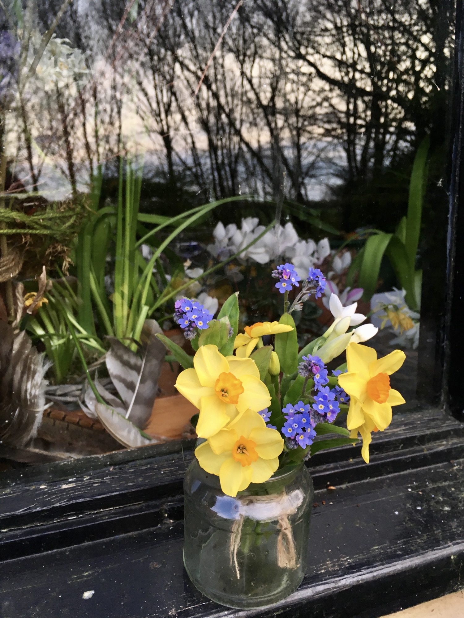 Winner: Second Nature book give-away | Bramble Garden